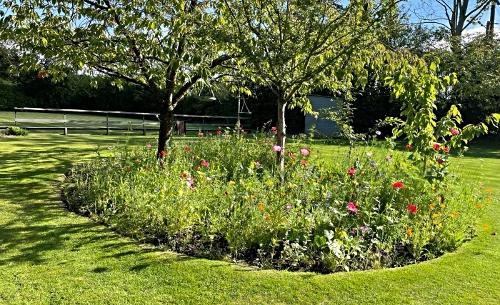 Nag's Head gardens - Nantwich News