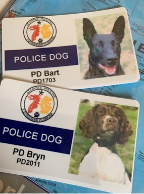 Police dog warrant cards - Nantwich News